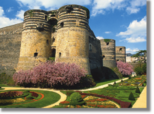 CSEDU 2024 - Conference