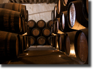 CSEDU 2025 - Conference